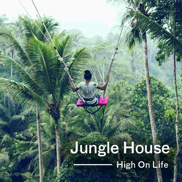 BPM and key for songs by Jungle House | Tempo for Jungle House songs ...