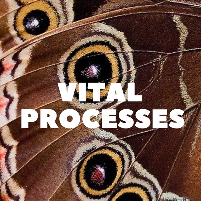 Vital Processes | Podcast on Spotify