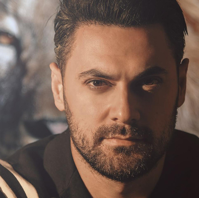 Hadi Aswad on Spotify