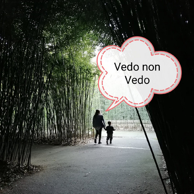 Vedo Non Vedo | Podcast on Spotify