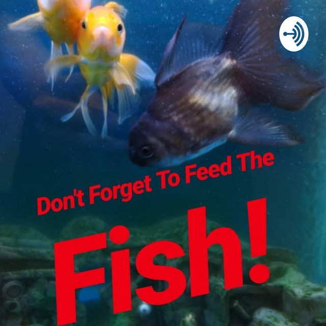 Don't Forget To Feed The Fish! | Podcast on Spotify