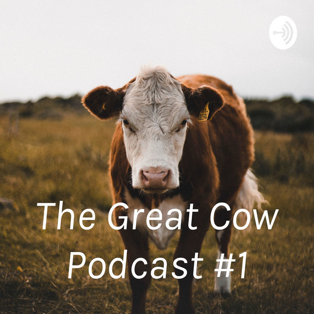 The Great Cow Podcast #1 | Podcast on Spotify