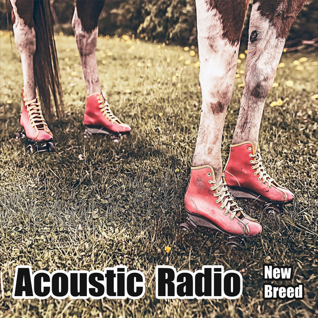 BPM and key for songs by Acoustic Radio | Tempo for Acoustic Radio ...