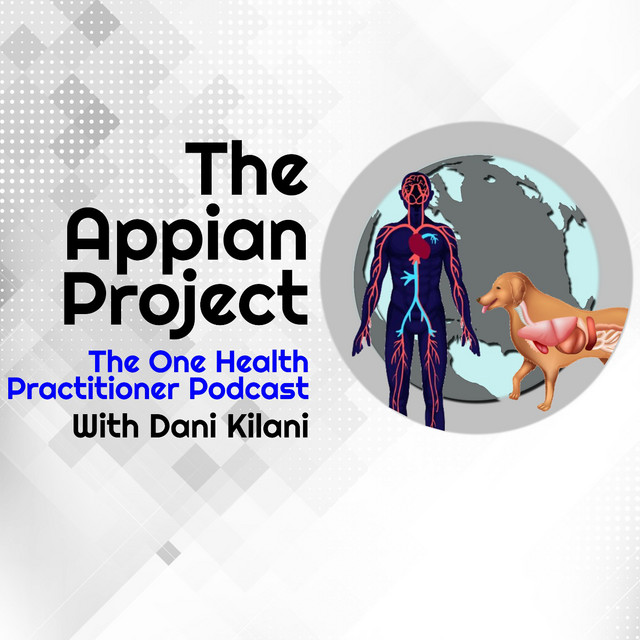 The Appian Project | Podcast on Spotify