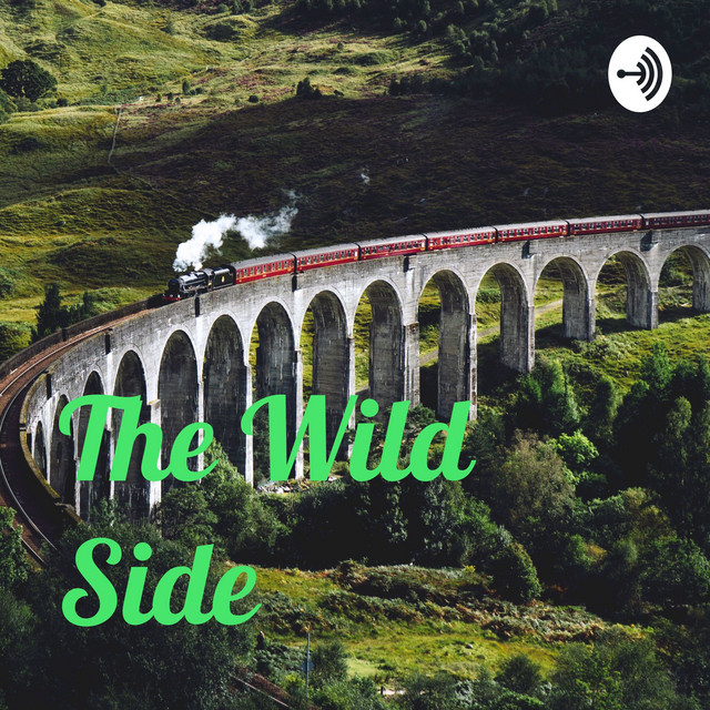 The Wild Side | Podcast on Spotify