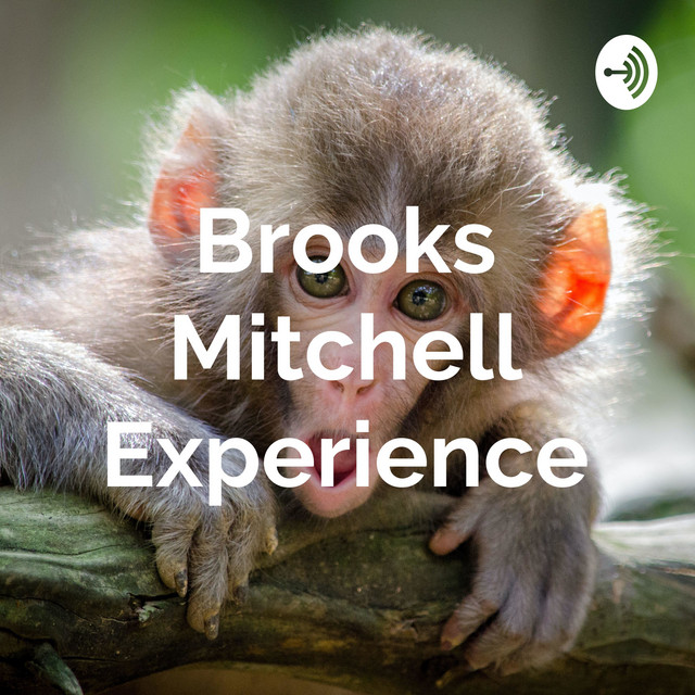 Brooks Mitchell Experience | Podcast on Spotify