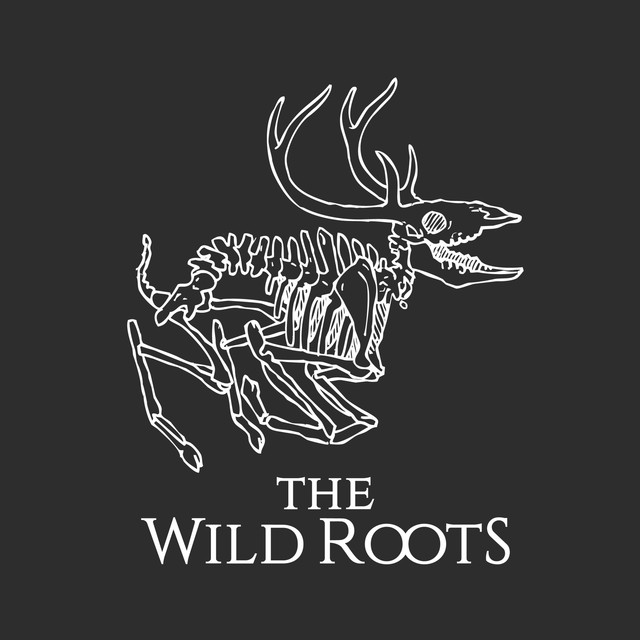 BPM and key for songs by The Wild Roots | Tempo for The Wild Roots ...