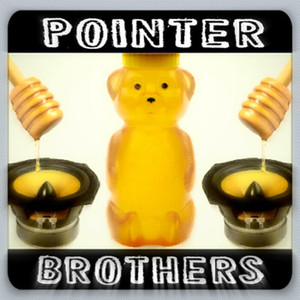 The Pointer Brothers - Konzerte, Tickets und Tourneen 2026 und 2027 ...