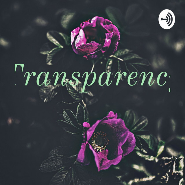 Transparency Podcast On Spotify
