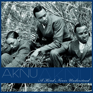 Aknu - tickets, concerts and tour dates 2026 and 2027 — Festivaly.eu