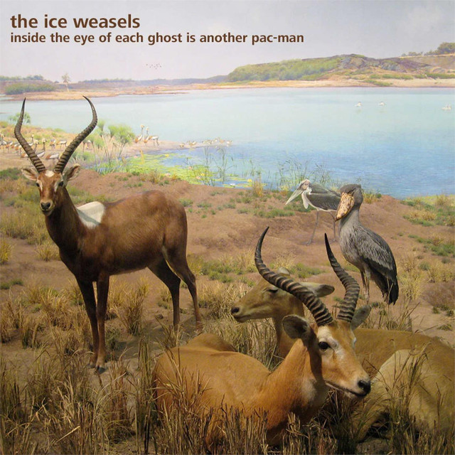 BPM and key for songs by The Ice Weasels | Tempo for The Ice Weasels ...