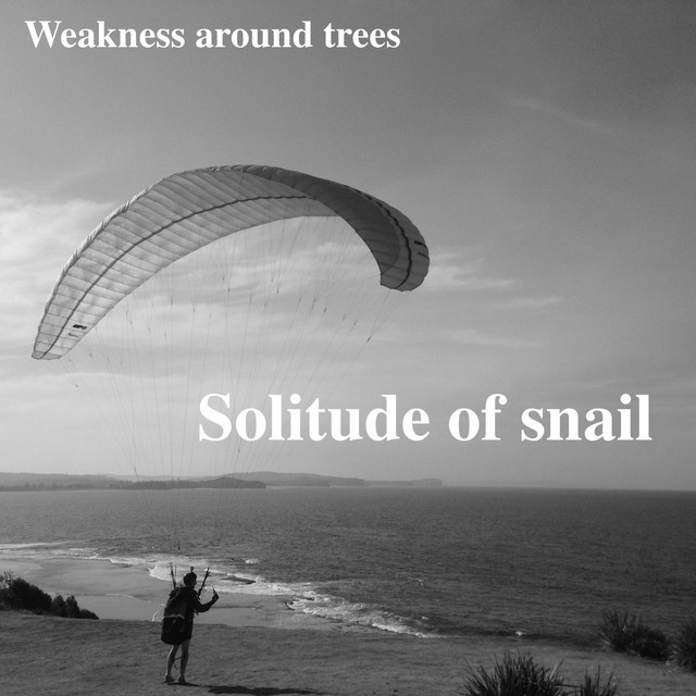 BPM and key for songs by Weakness Around Trees | Tempo for Weakness ...