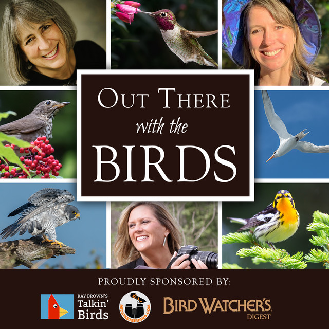 Out There With the Birds | Podcast on Spotify