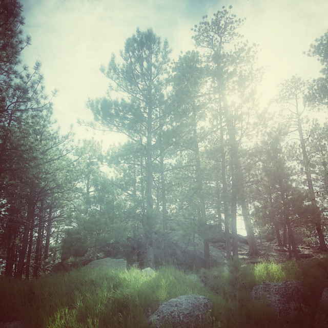 BPM and key for songs by Imaginary Future | Tempo for Imaginary Future ...