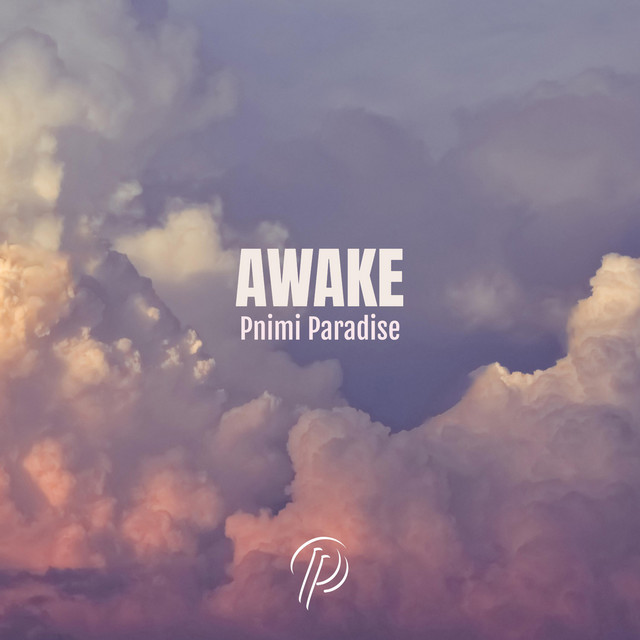 Pnimi Paradise res profile | SubmitHub