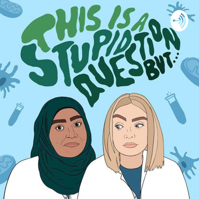 This Is A Stupid Question But | Podcast on Spotify