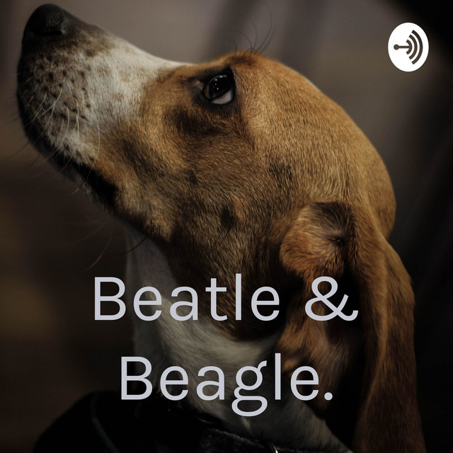 Beatle & Beagle. | Podcast on Spotify