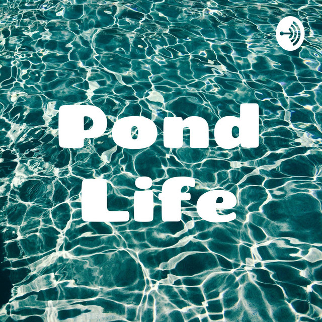 Pond Life | Podcast on Spotify