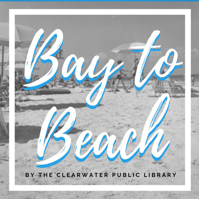 The Bay to Beach Podcast | Podcast on Spotify