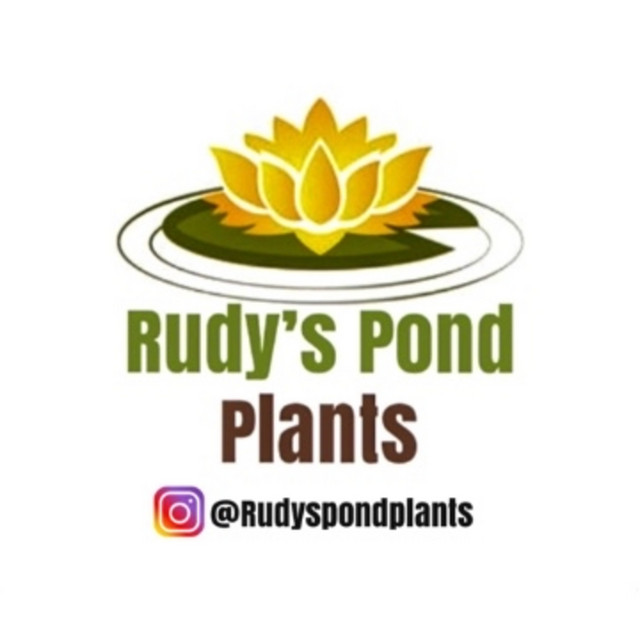 Rudy’s Pond Plants | Podcast on Spotify