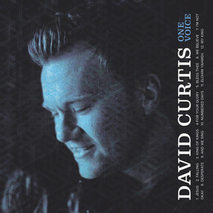 David Curtis - concerts, billets et tournés 2025 et 2026 — Festivaly.eu