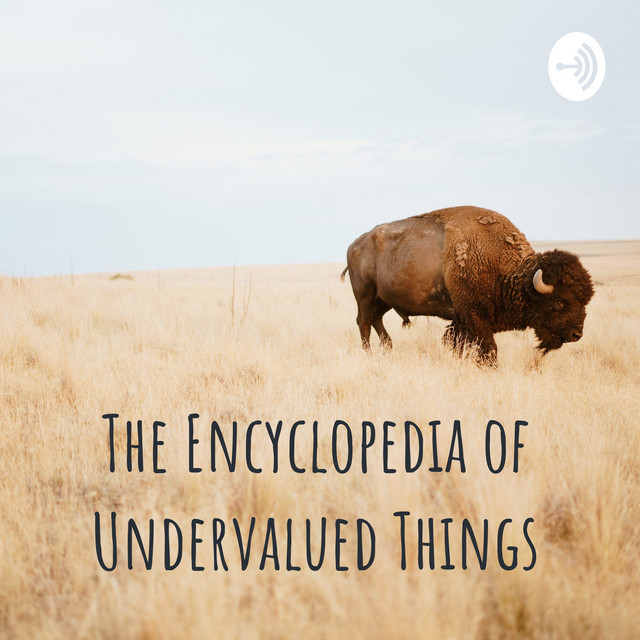 The Encyclopedia of Undervalued Things | Podcast on Spotify