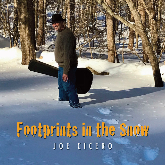 Joe Cicero | Spotify