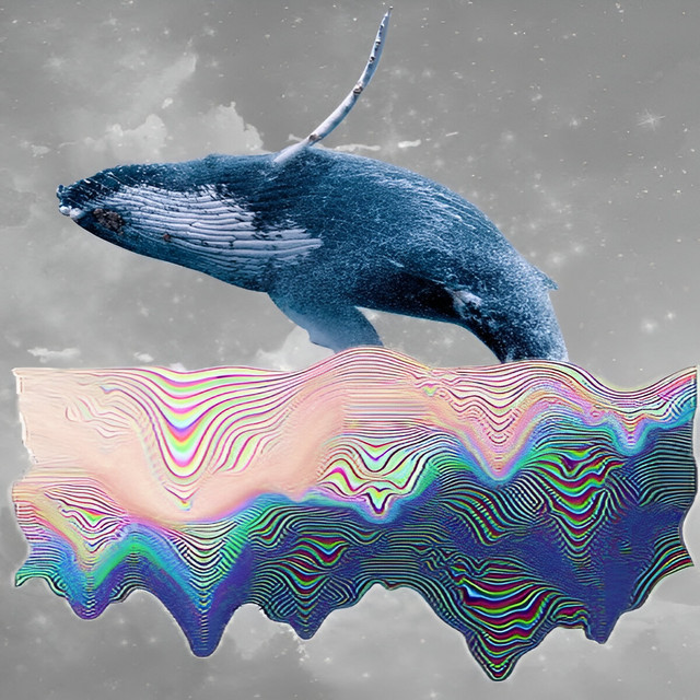 Frail Whale | Spotify