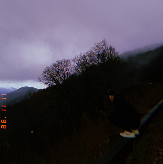 hodgie | Spotify