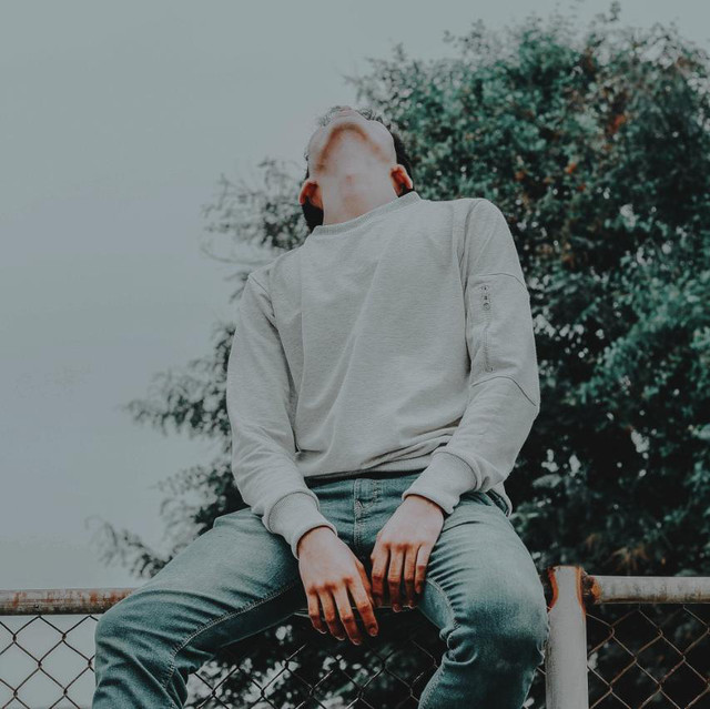 Larot | Spotify