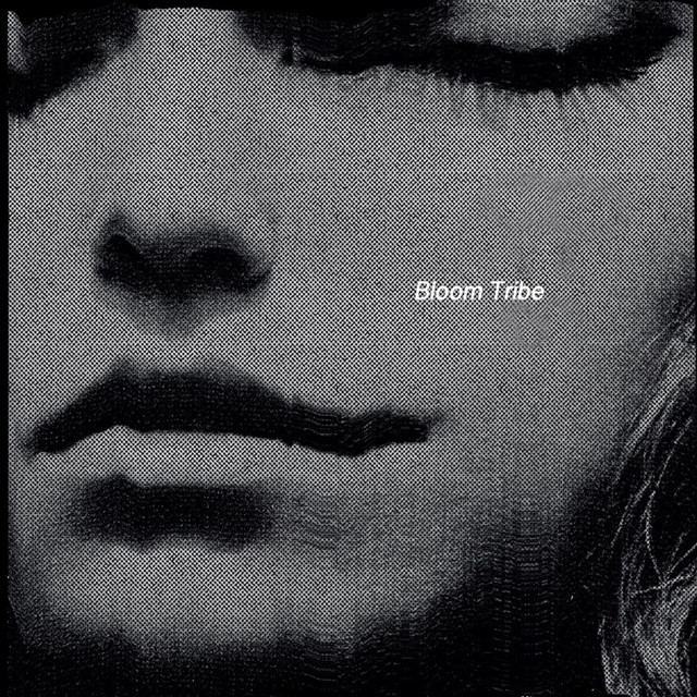 Bloom Tribe | Spotify