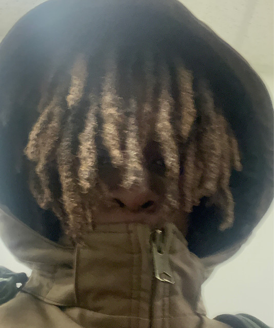 STYLIZED TOOLIE | Spotify