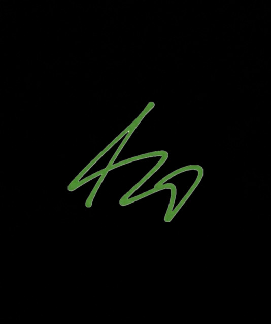 LIL GLOCK 420 | Spotify