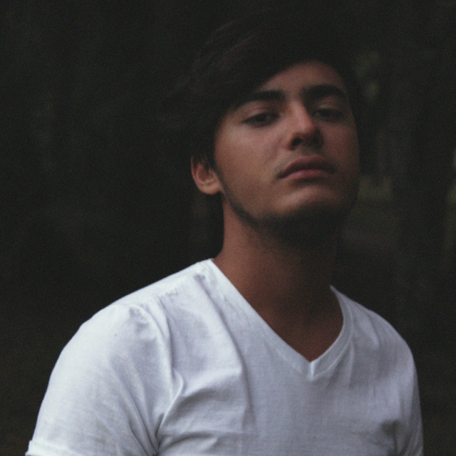 Falconette | Spotify