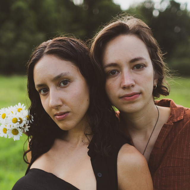 Paper Wings | Spotify