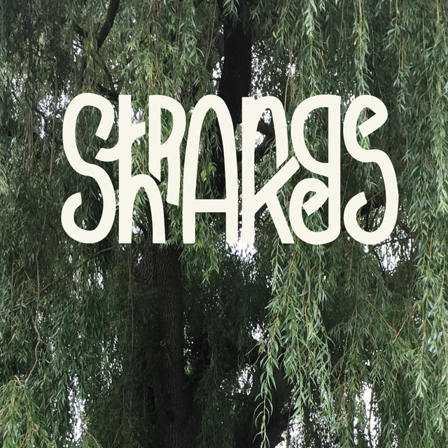 Strange Shakes Concert & Tour History | Concert Archives