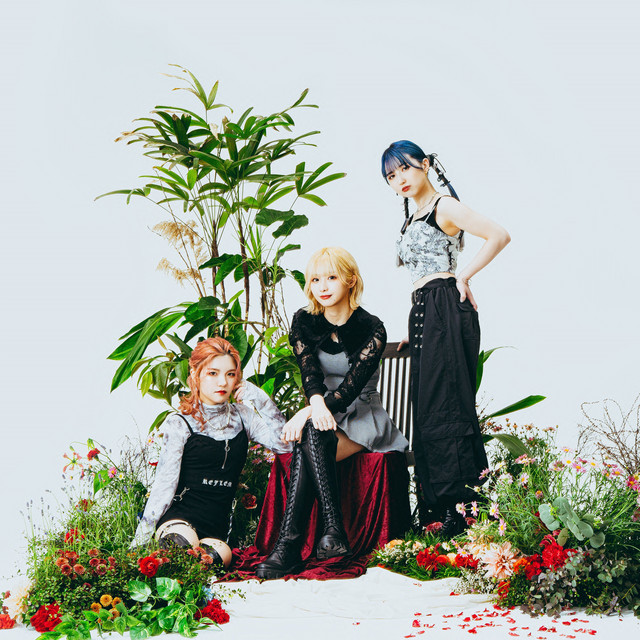 Idol Rock artists and listeners — Musicalyst