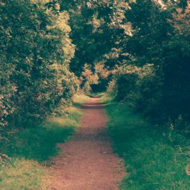 Lee Teah | Spotify