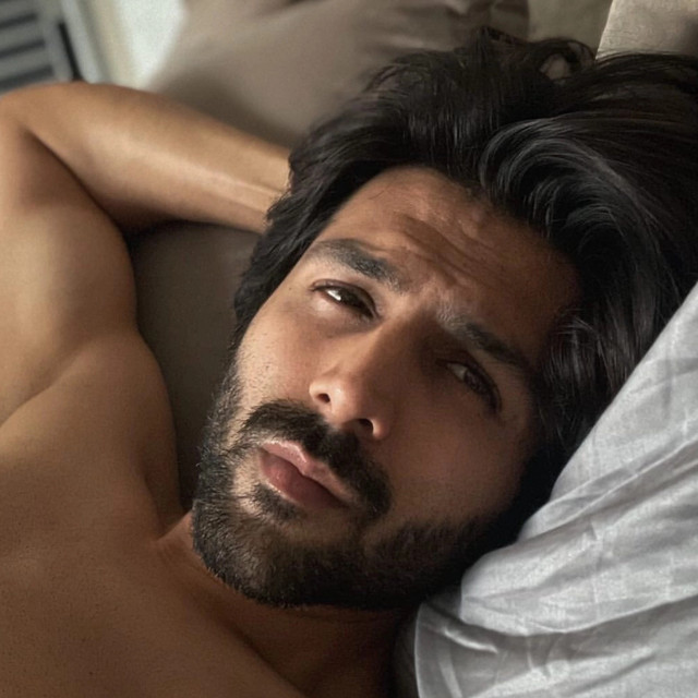 Significado de las canciones de KARTIK AARYAN, KIARA ADVANI, TABU ...