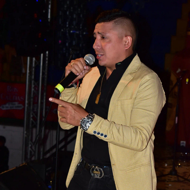 ALI DUARTE - Spotify Statistics & Monthly Listeners | Music Metrics Vault