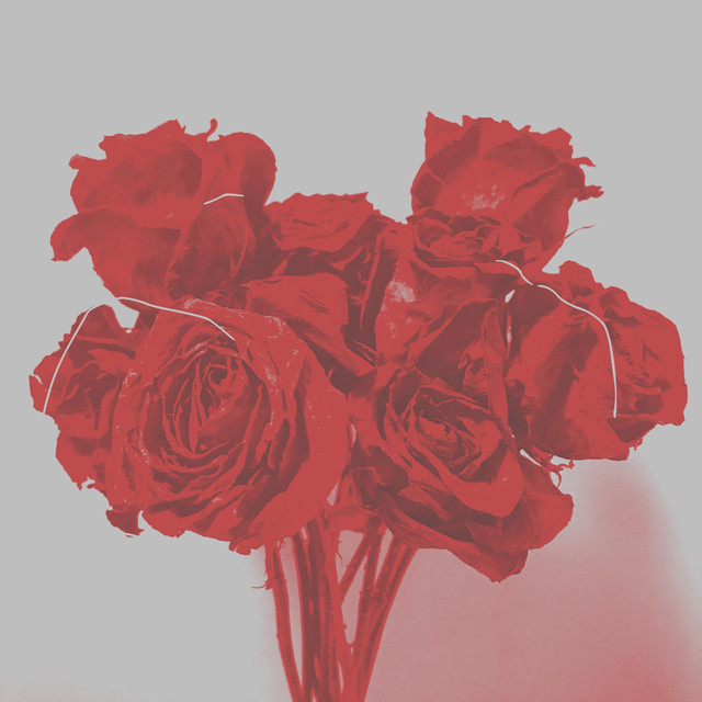 macabre city | Spotify
