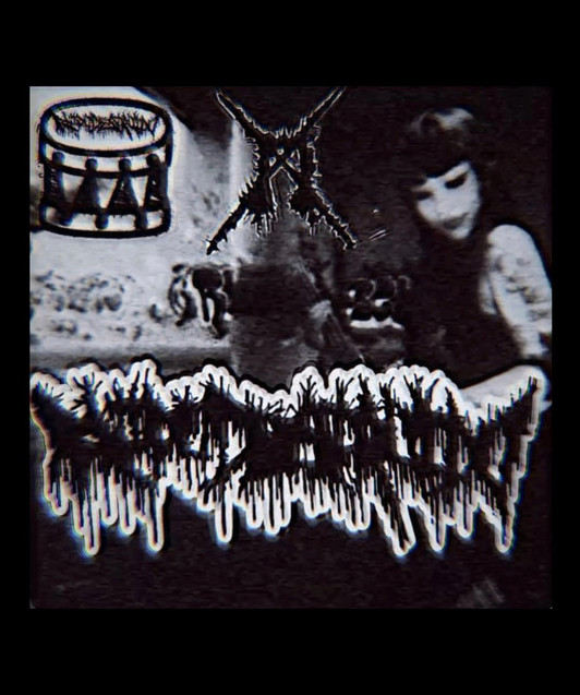 RUIDO DESTRUIDO | Spotify