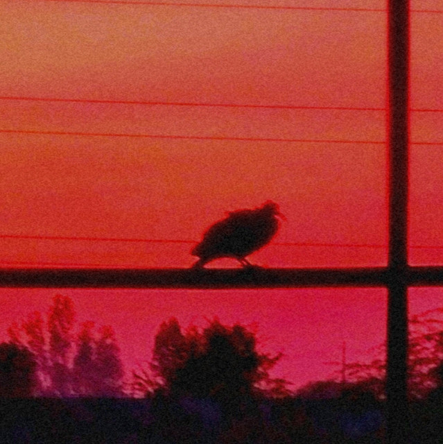 0ms | Spotify