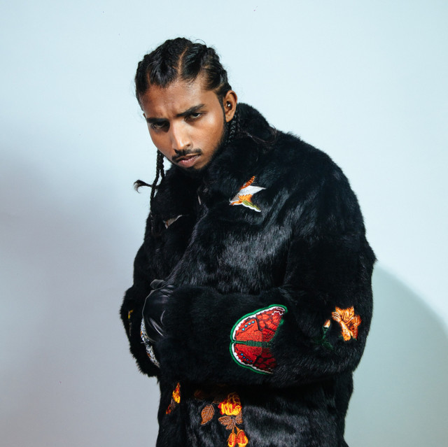 Hindi Hip Hop artists and listeners — Musicalyst