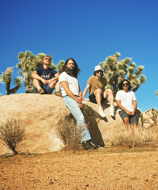 Elephant Stone | Spotify