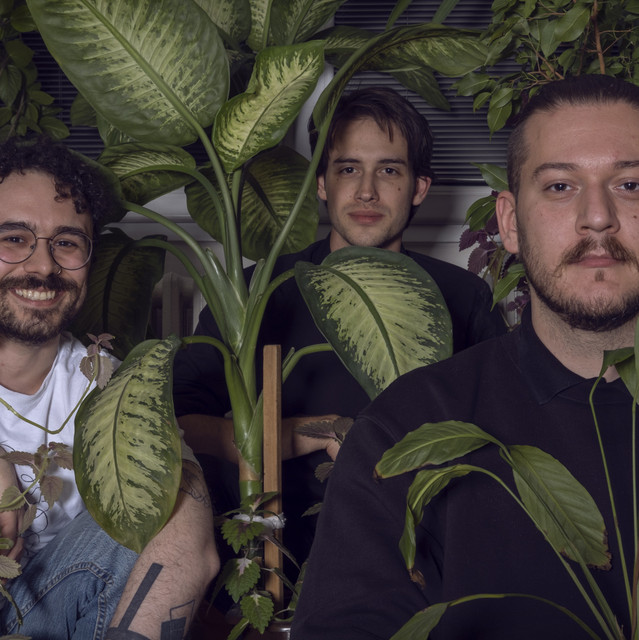 The Ooz | Spotify