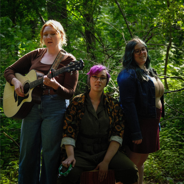 Wild Remedy: genres, songs, analysis and similar artists - Chosic