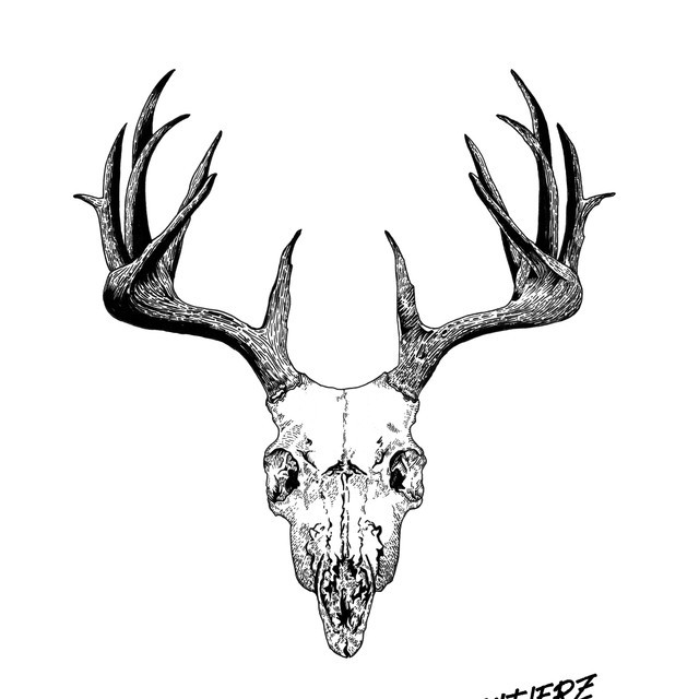 Antlerz | Spotify