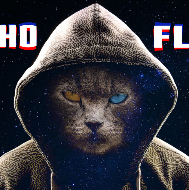 Gatho Flow: Songs list, genres, analysis and similar artists - Chosic