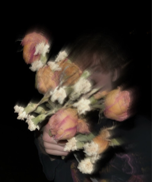 ludem | Spotify